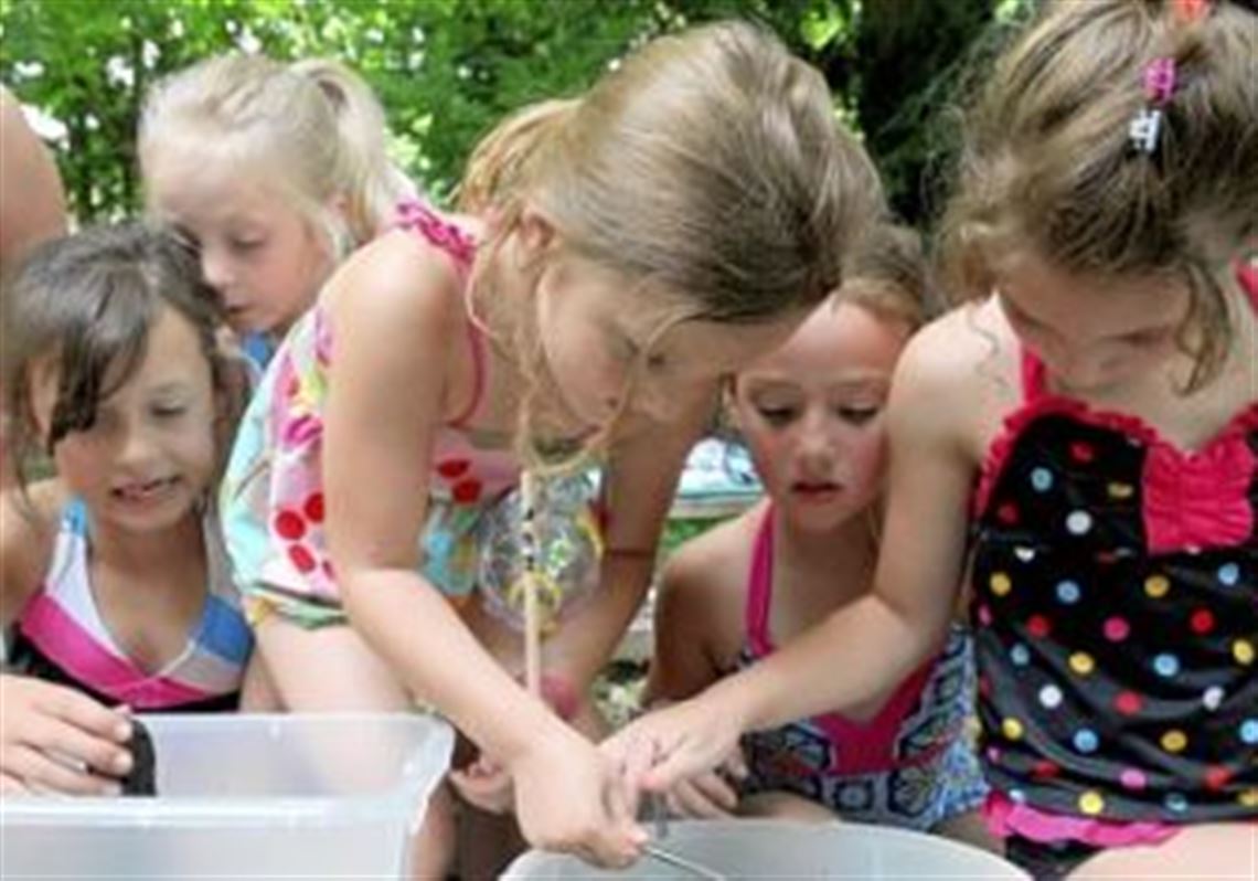 Bug Camp Kids learn about nature at Rachel Carson Homestead ...