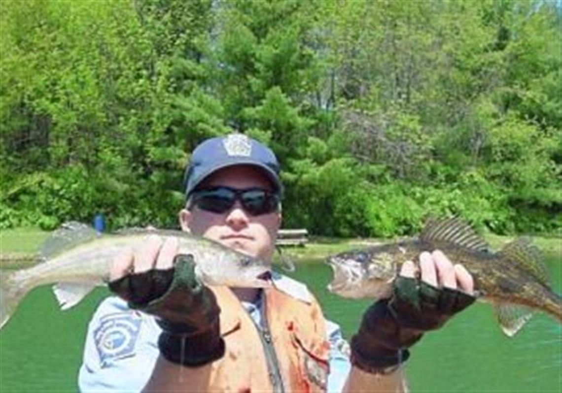 At Pymatuning Lake, hearty walleyes stocked in 2009 are reaching legal ...