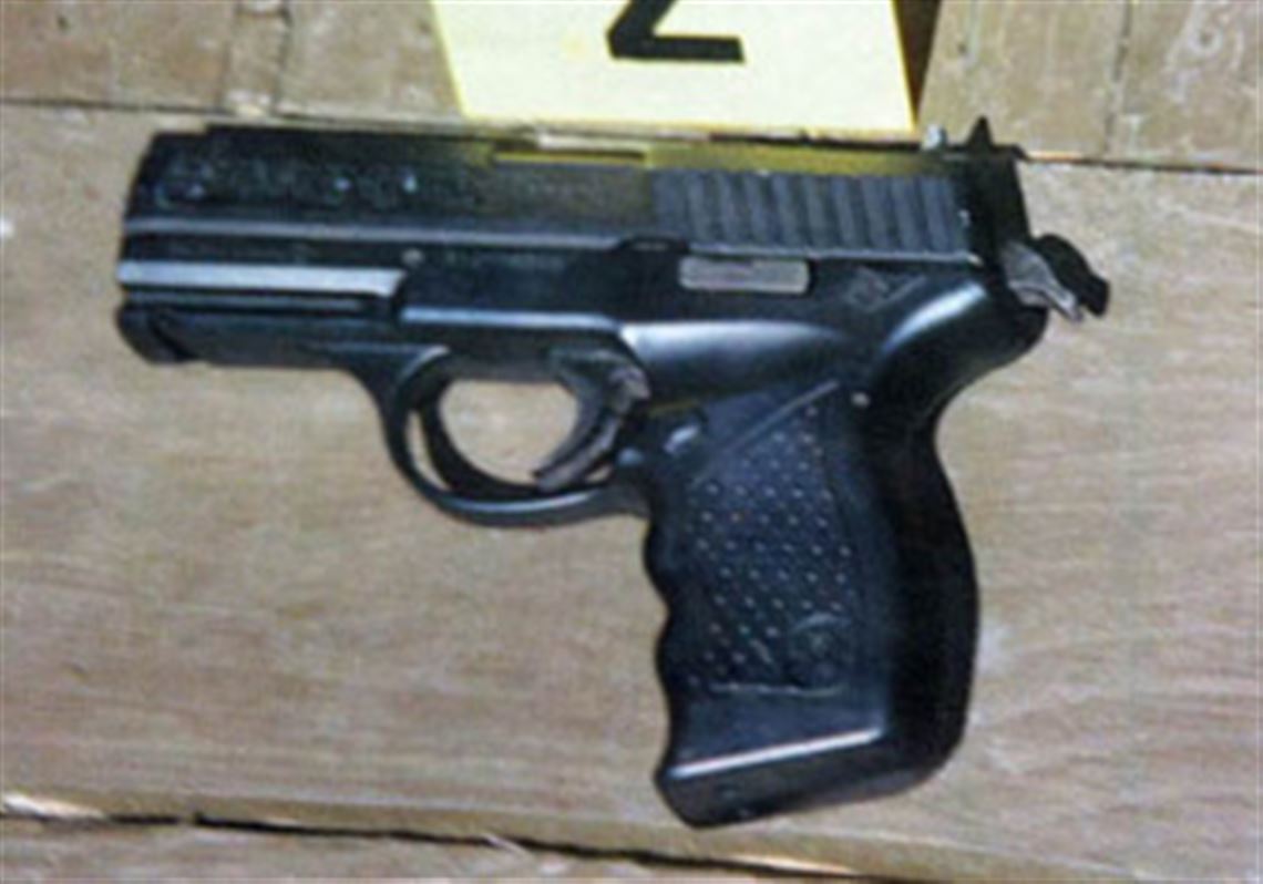Police often unable to discern pellet guns from lethal weapons ...
