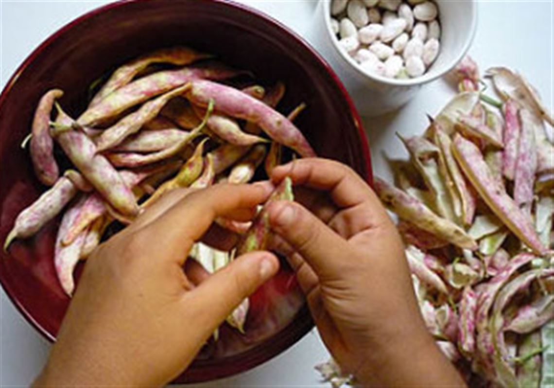 Shelly beans are a summer treat not to be missed | Pittsburgh Post-Gazette