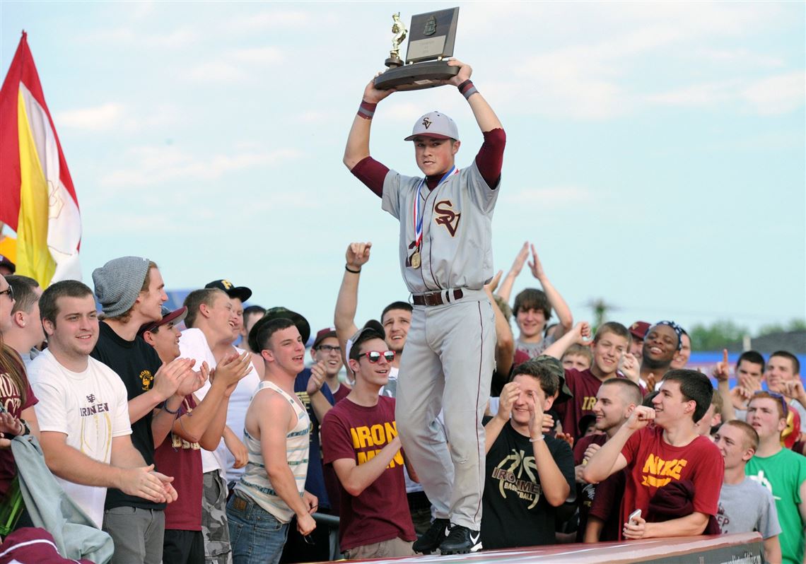 Steel Valley takes first-ever WPIAL baseball title with dramatic win ...