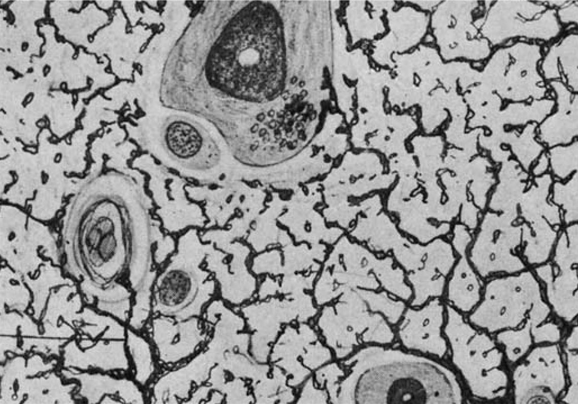 The Next Page / CMU Classroom innovator brought science and art under ...