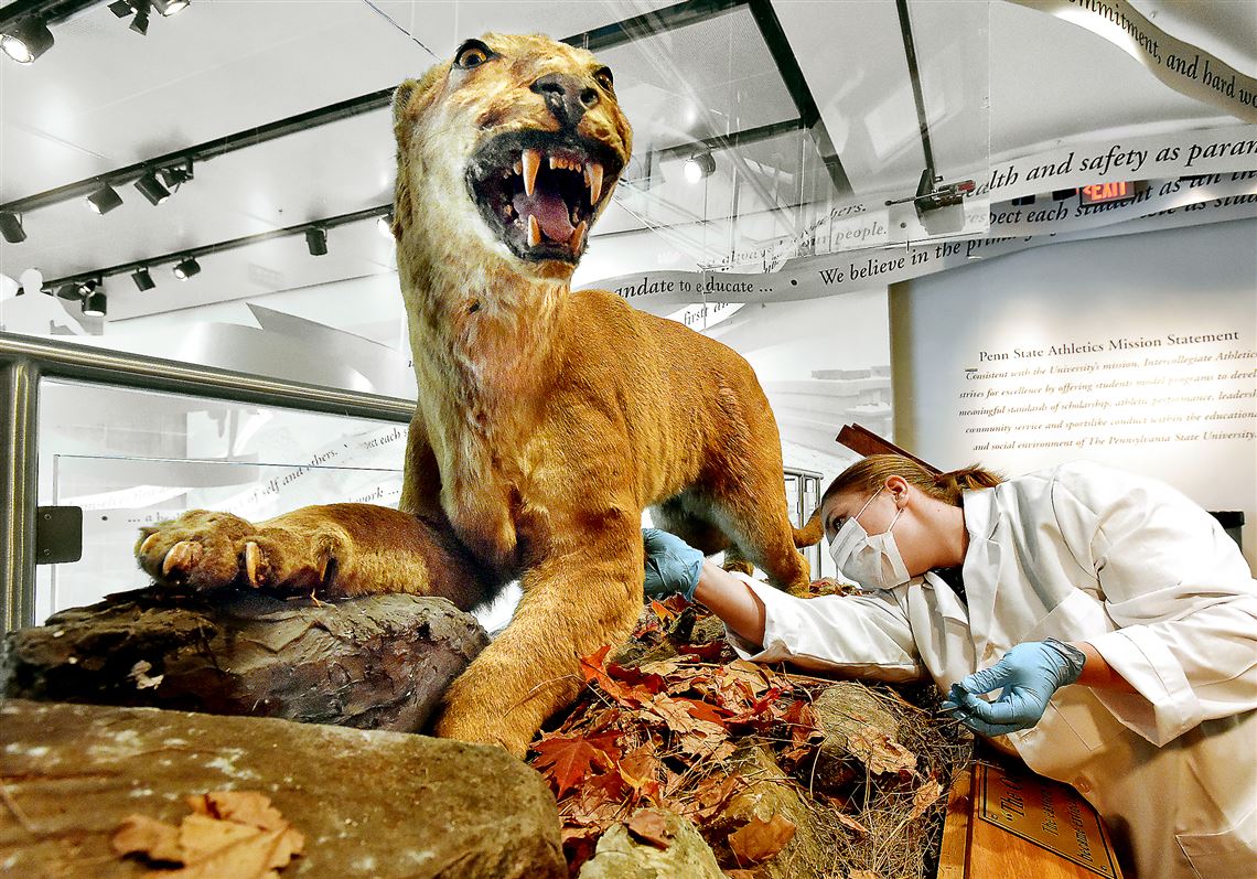 PSU student uses stuffed Nittany lion for DNA sequencing | Pittsburgh ...