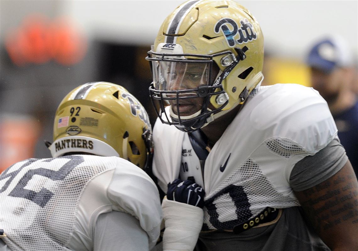 Now led by Charlie Partridge, Pitt's defensive line unproven but ...