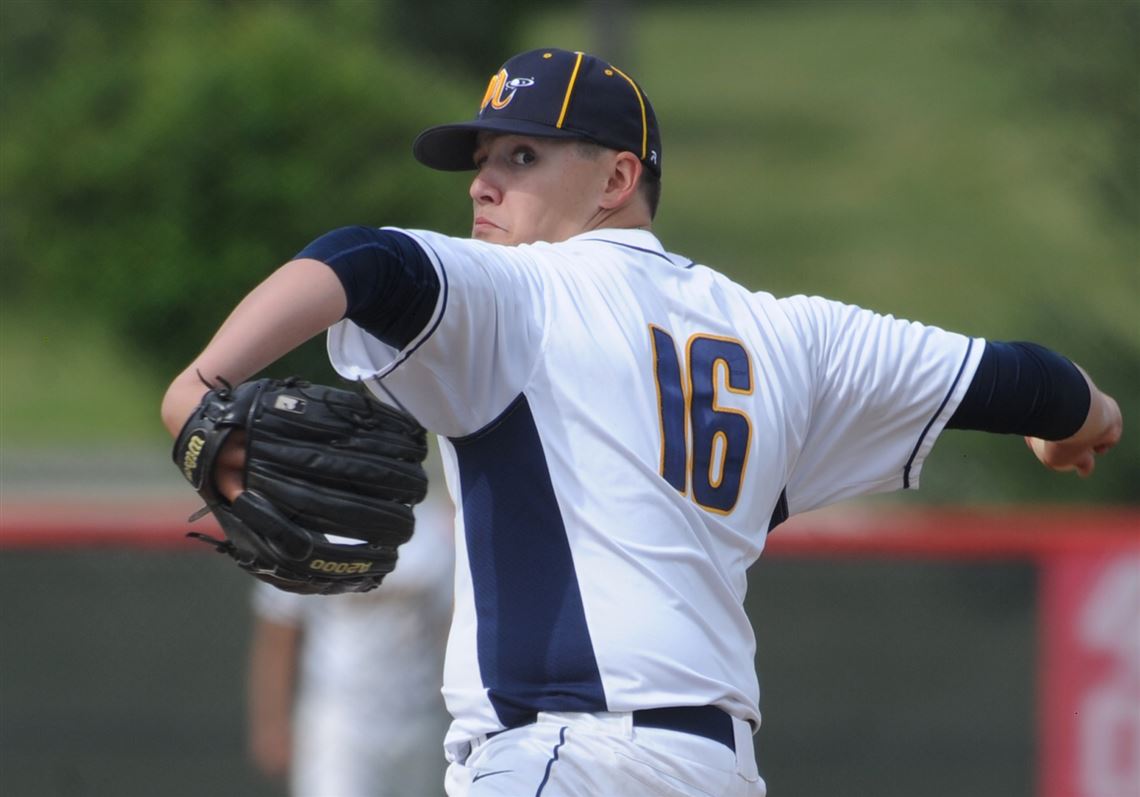 Mars' baseball success has given Bednars quality father-son time ...