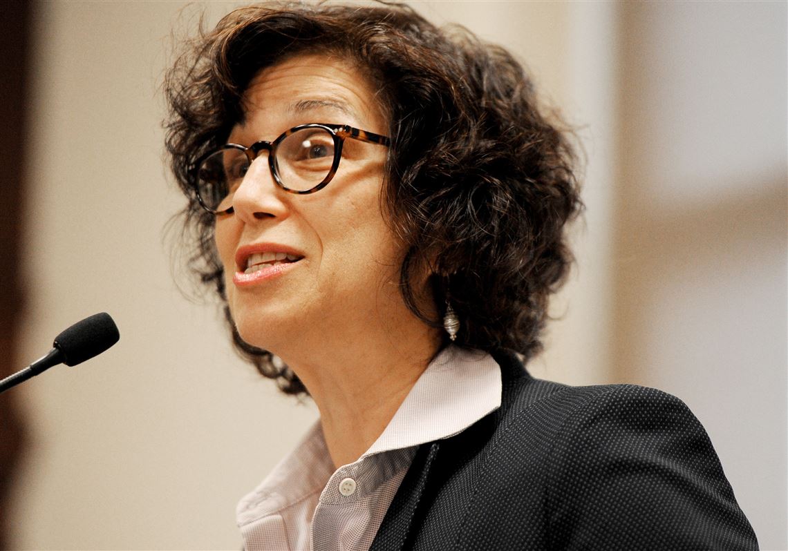 Allegheny County Lead Task Force to push strategies to ensure a lead ...