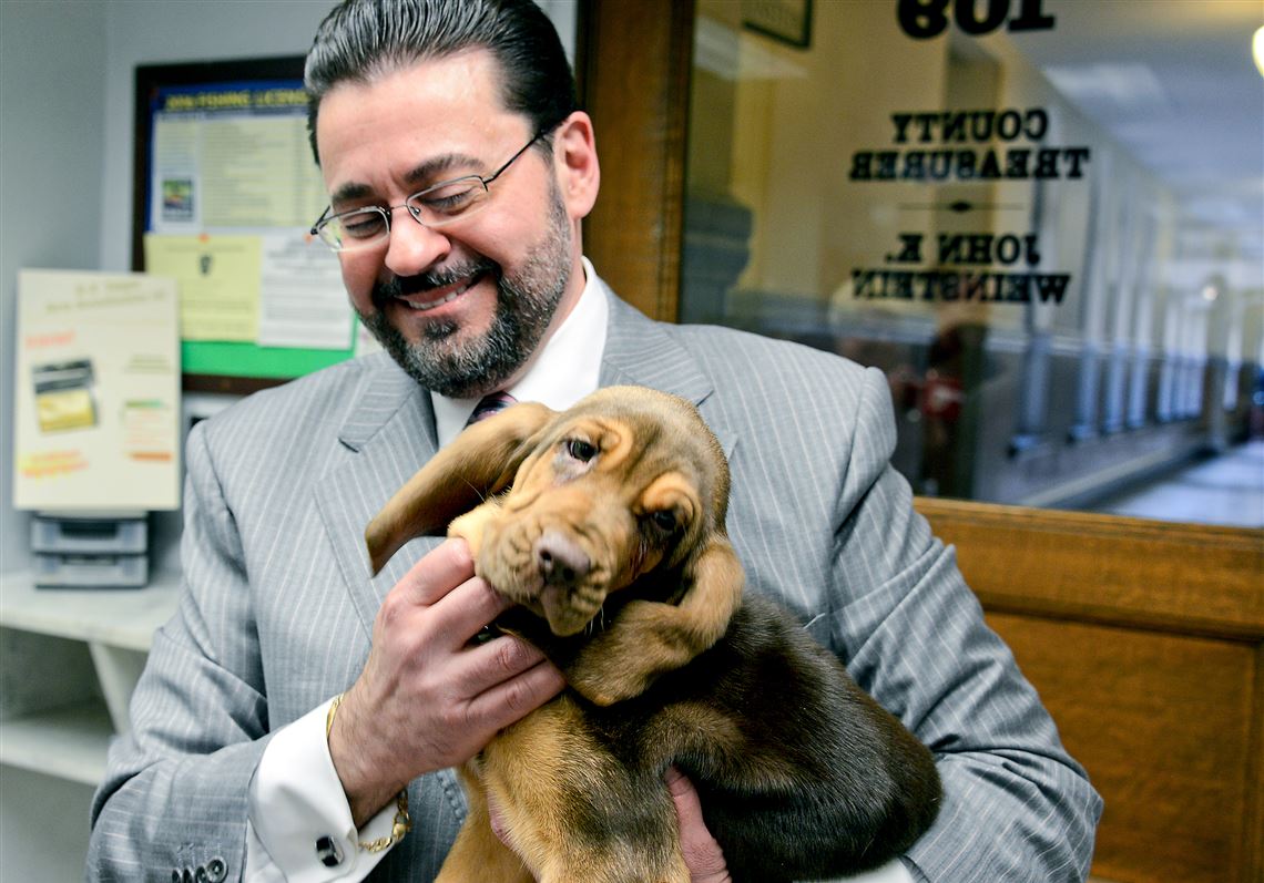 Pet Points: Frequent walks, licenses and other ways to keep pets ...