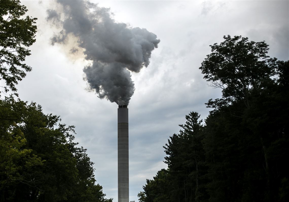 Obituary: Thomas Anthony Schott / Entrepreneur was environmentally ...