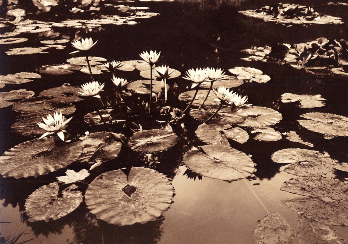Frick exhibit captures the vibrant streets of Paris | Pittsburgh Post ...