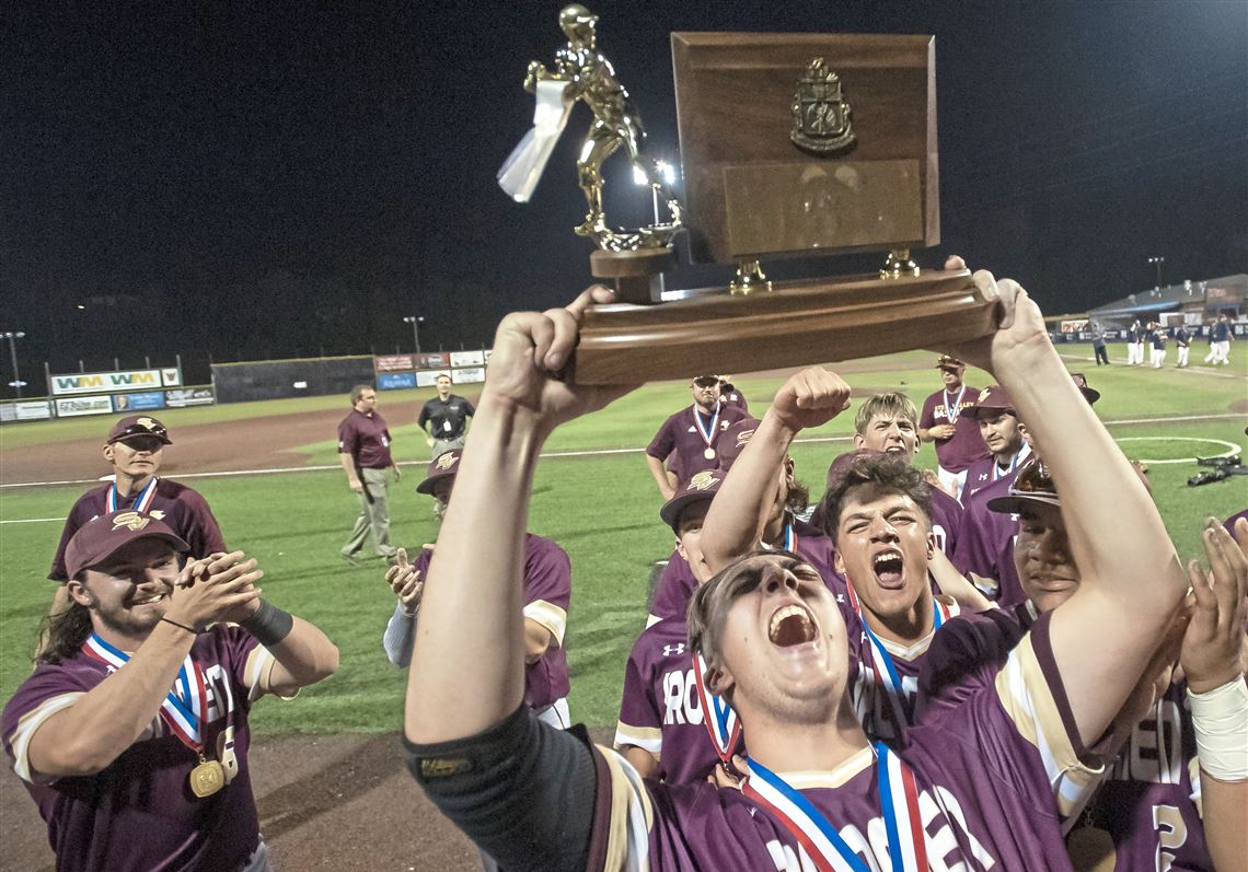 Steel Valley baseball tops Hopewell in WPIAL 3A championship ...