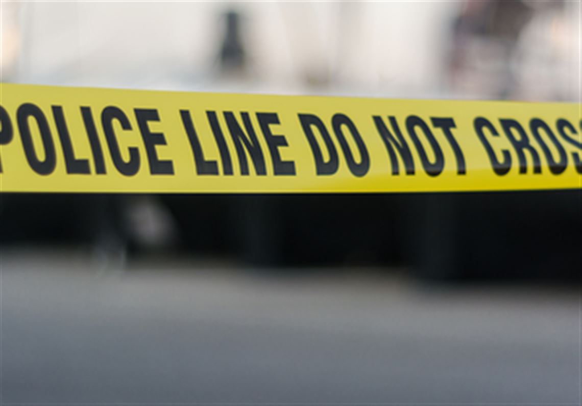 Police identify man who died during SWAT callout in Delmont ...