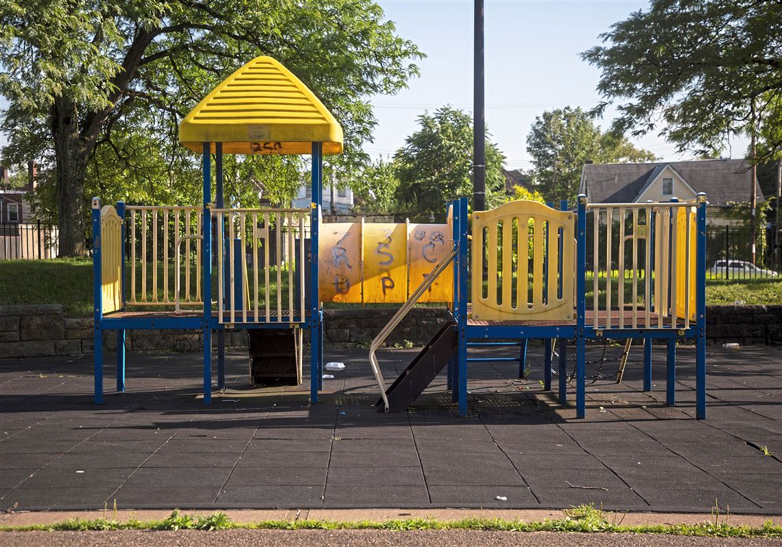 Chelsa Wagner: I love our parks, but I also love democracy | Pittsburgh ...