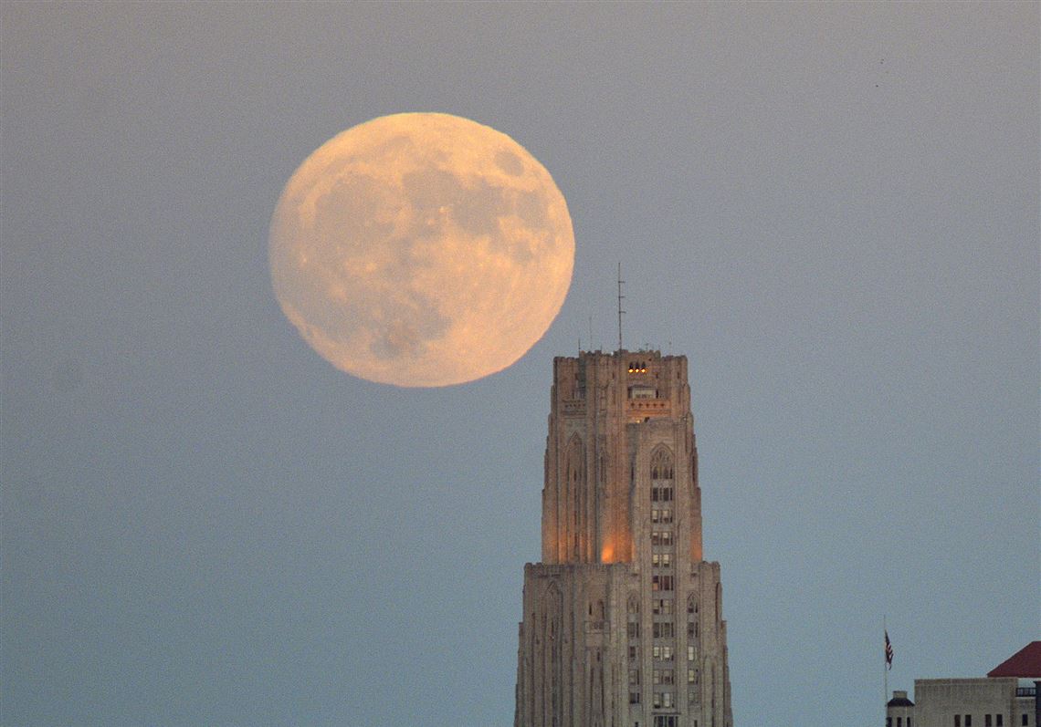 Former Pitt strength and conditioning coach Tim Beltz suing the ...