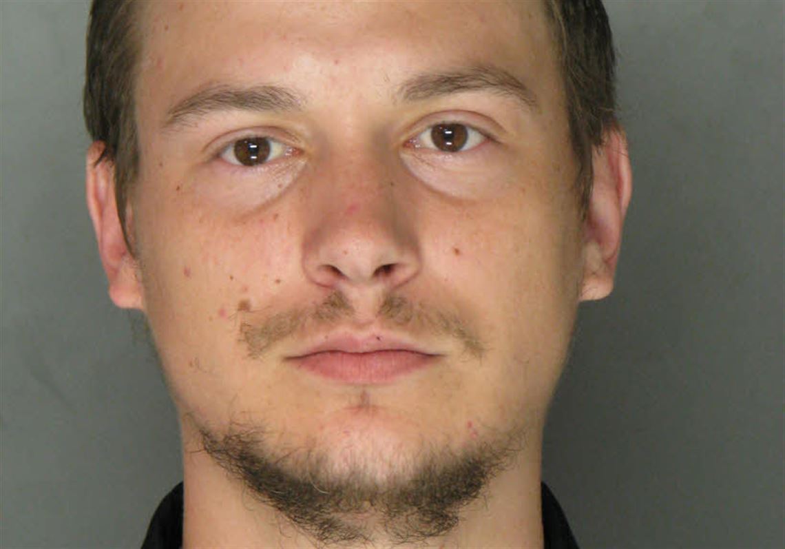 Carrick man pleads guilty to killing longtime Point Park voice ...