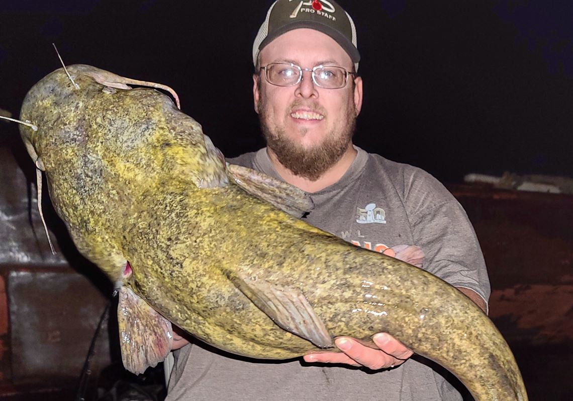 Fishing Report: Yinzer catfish caught; state record brown trout ...