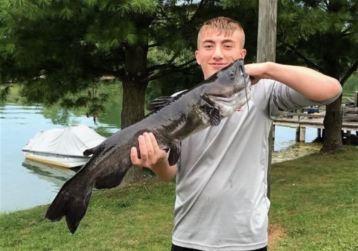 Fishing Report: Catfish, walleye and bass caught in cooling waters ...