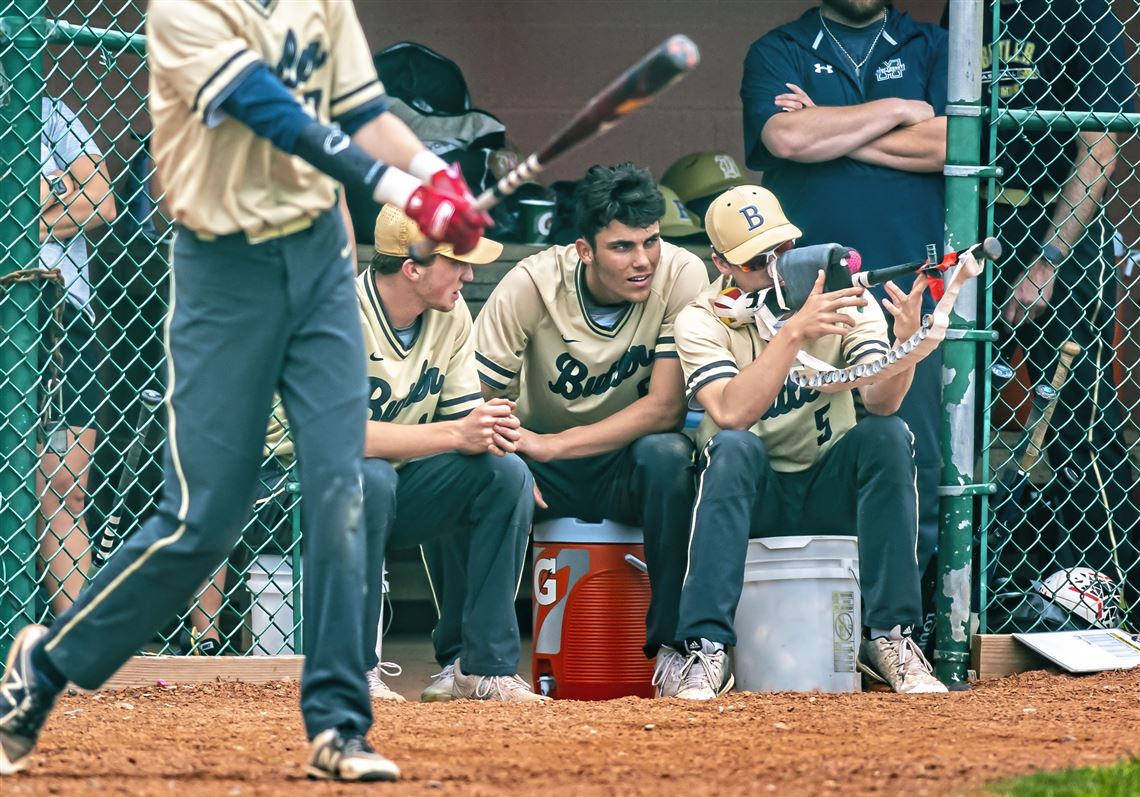 WPIAL baseball playoffs: Franklin Regional moves on | Pittsburgh Post ...