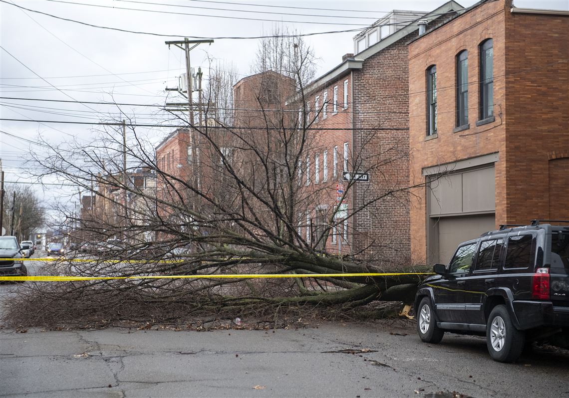 Reports of power outages, downed trees follow onslaught of wind gusts ...