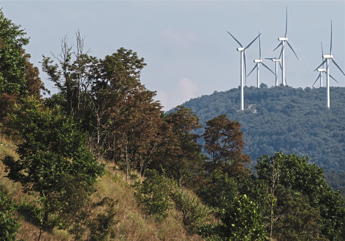 Julia Hustwit: Build Back Better moves us toward energy independence ...