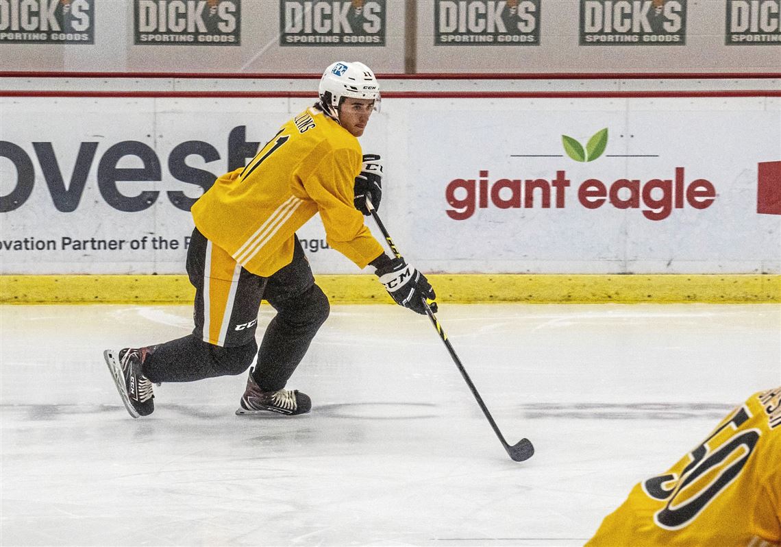 Penguins' 6th-round picks Nolan Collins, Luke Devlin soaking up ...