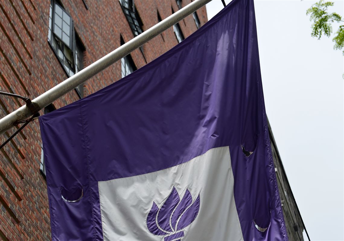 Richard Fang: Colleges are chasing money, but devaluing their degrees ...