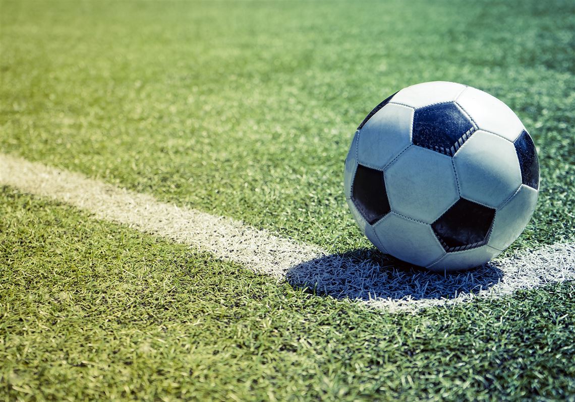 PIAA girls soccer roundup: Shaye Bailey scores seven goals in Freedom ...