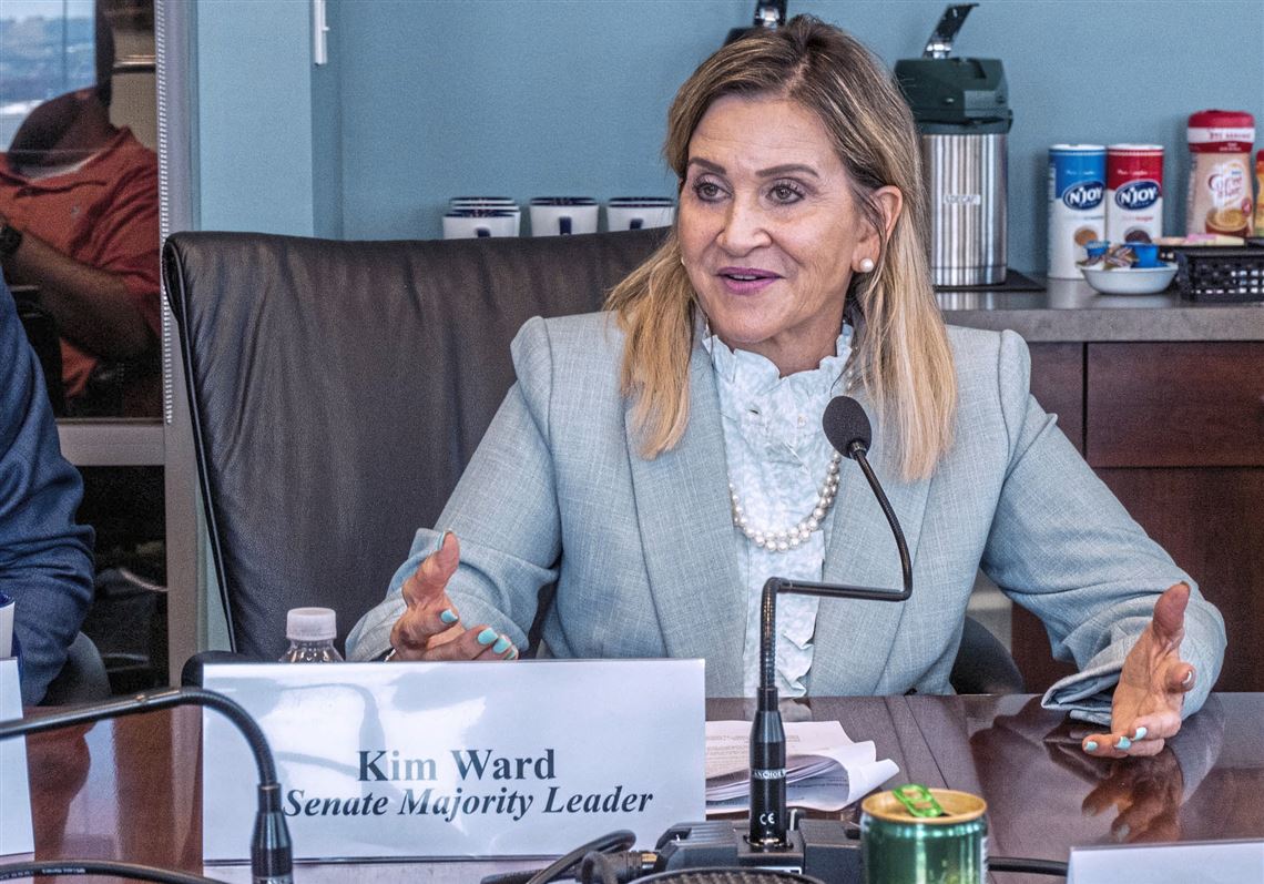 Sen. Kim Ward 1st woman elected as Pa. Senate president pro tempore ...