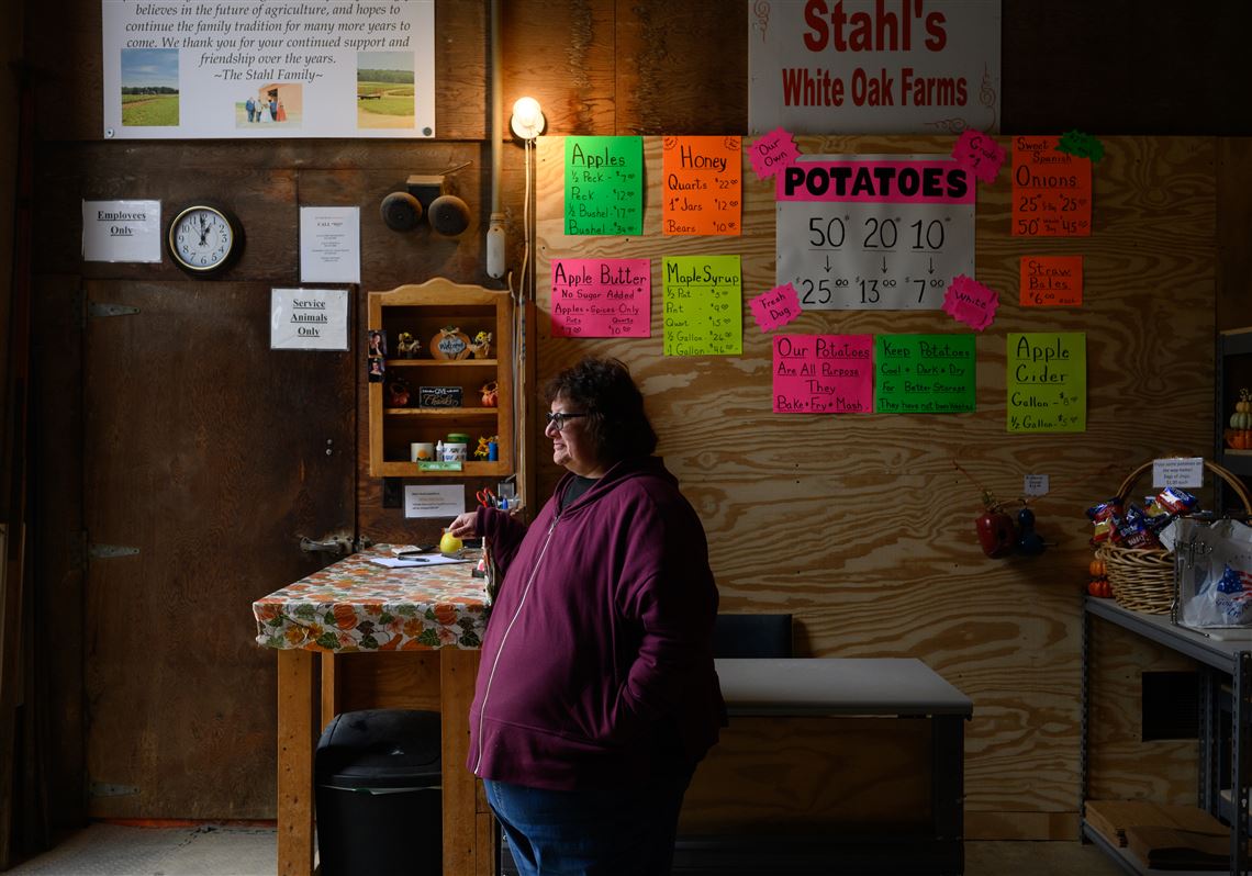 Salena Zito: The family-run businesses that make Thanksgiving possible ...