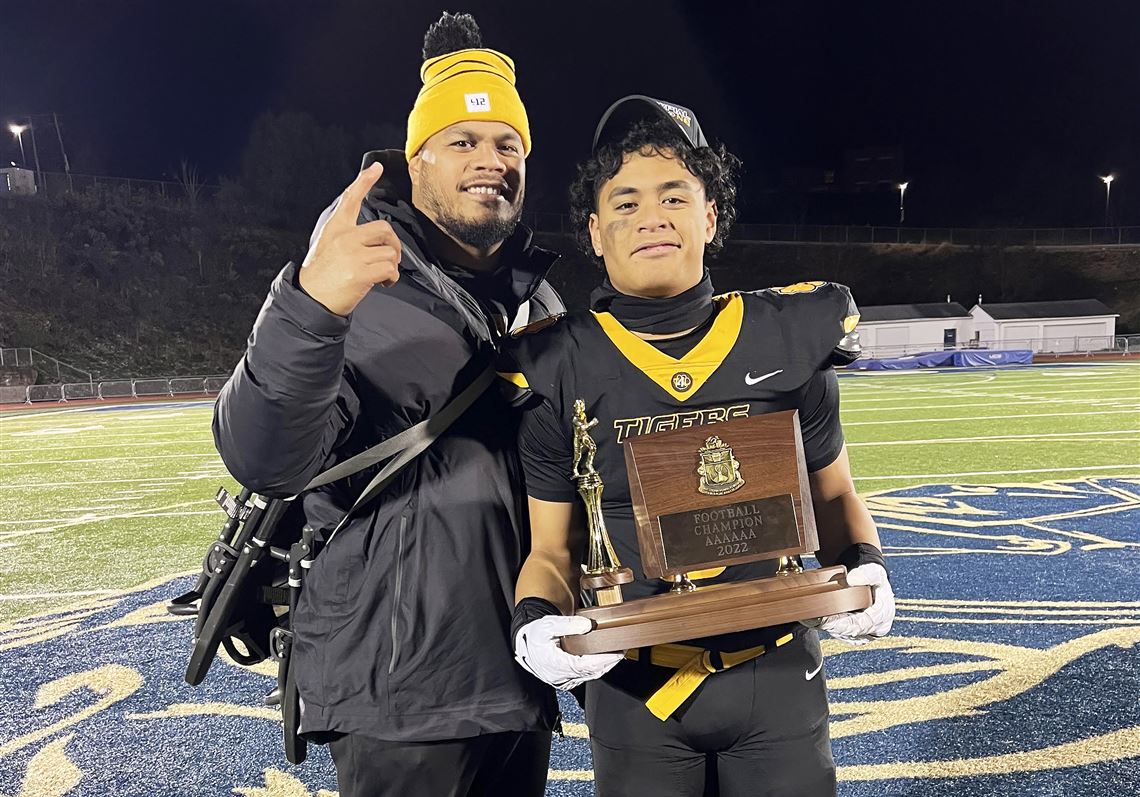 Even during a difficult Steelers season, the Alualu family has much to ...