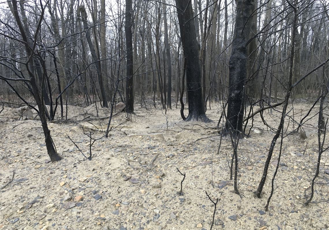 Adriana E. Ramírez: What fos­sil fuel di­sas­ter will be the last one ...