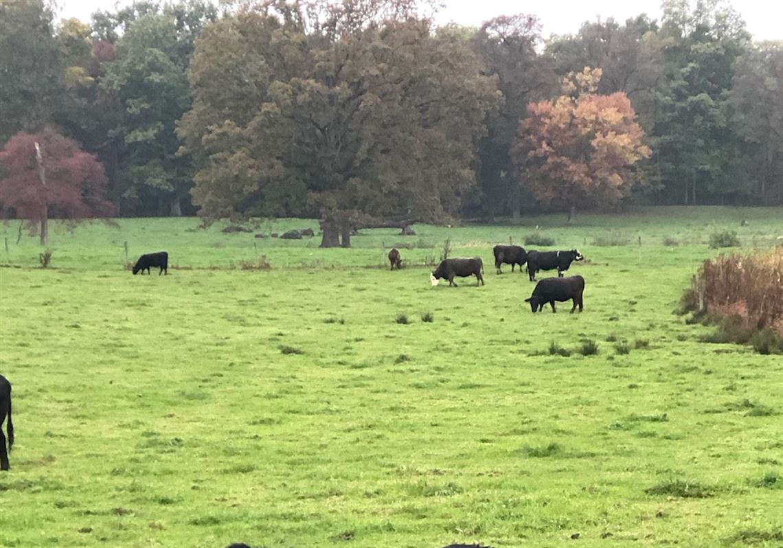 Todd Wetzel: The farming life we're losing as the suburbs spread ...