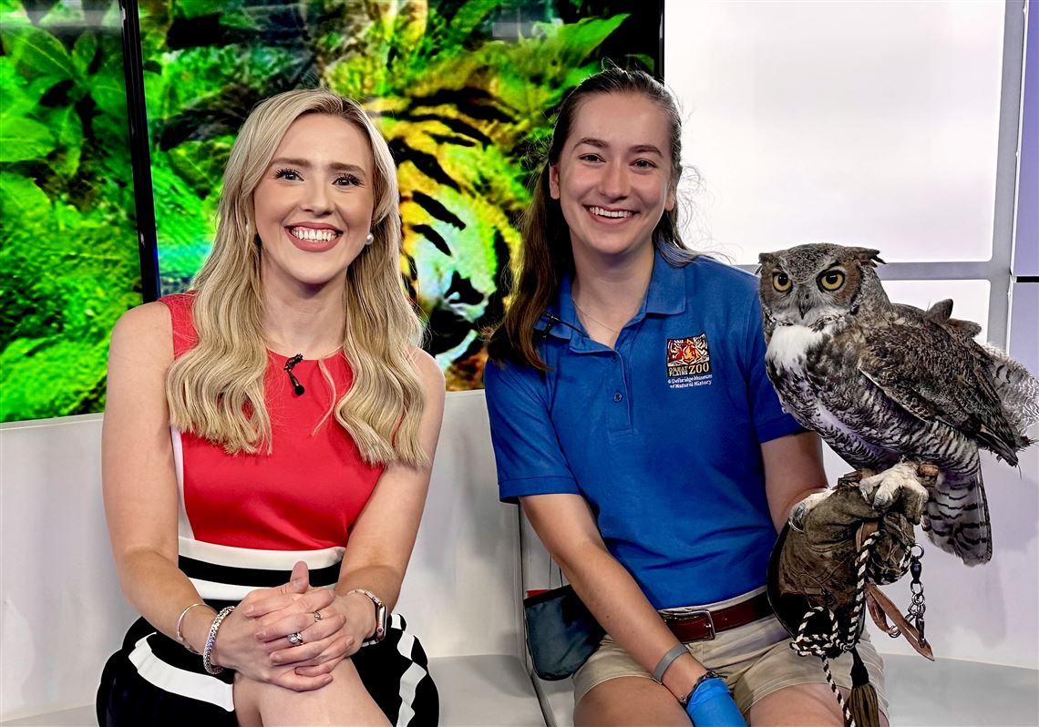 Former actor, Mount Washington native Alexandra Todd joins KDKA as a ...