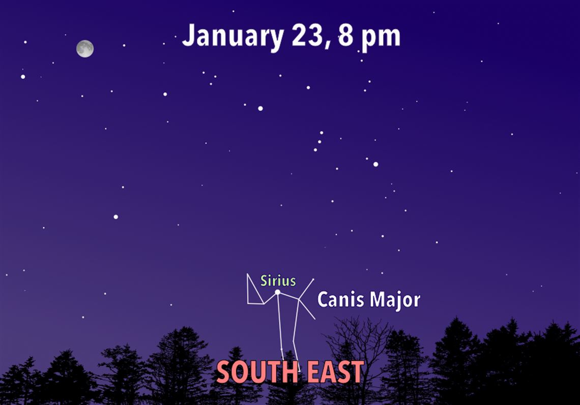 Stargazing: Sirius the dog star shines in Harry Potter and our night ...