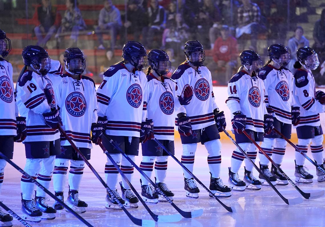 Robert Morris wants to build a $28 million ice hockey facility ...
