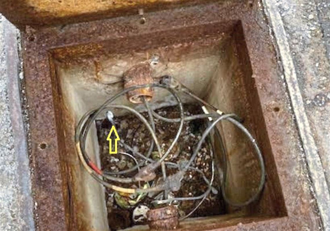 Faulty wiring caused electrocution death of dog in Pittsburgh: report ...