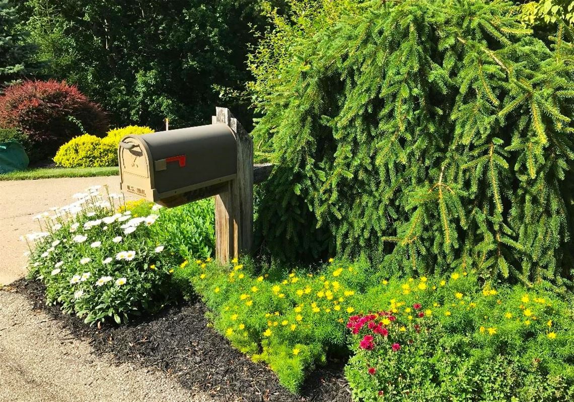Garden Bed Around Mailbox