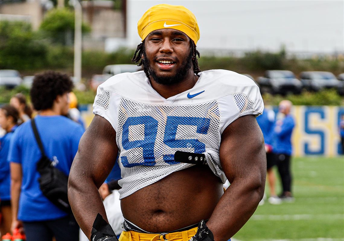Pitt DL Francis Brewu is having a strong first training camp ...