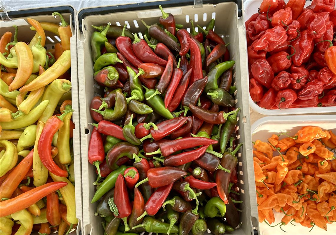 In season: Reaching the kaleidoscopic peak of peppers | Pittsburgh Post ...
