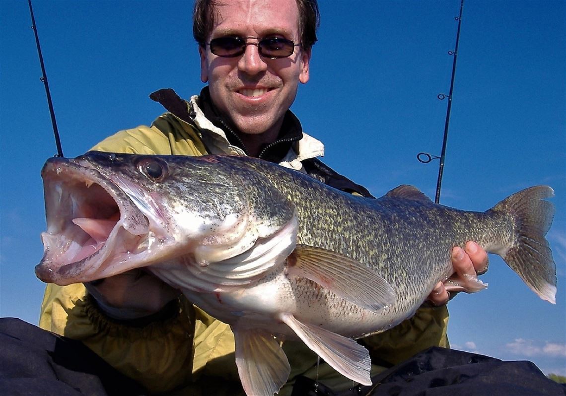 Summer walleye catches in Pa. portion of Lake Erie were 2nd highest in ...