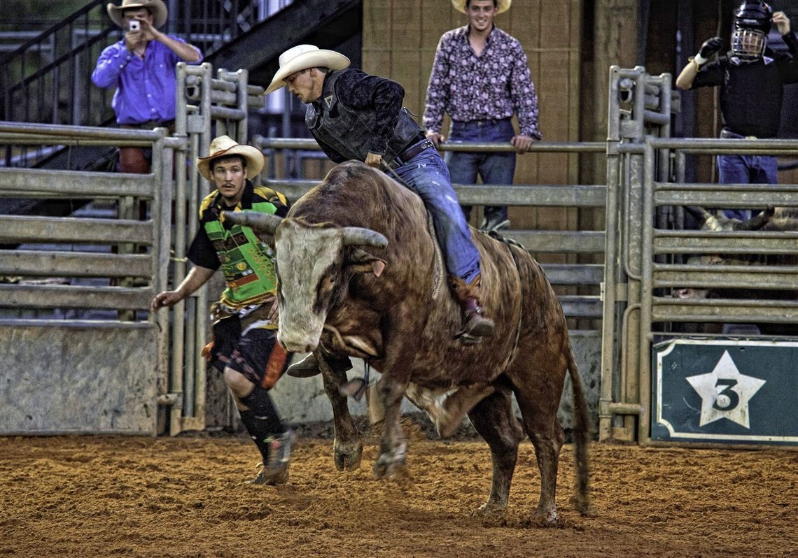 Matthew A. King: Pittsburgh should say no rodeos | Pittsburgh Post-Gazette