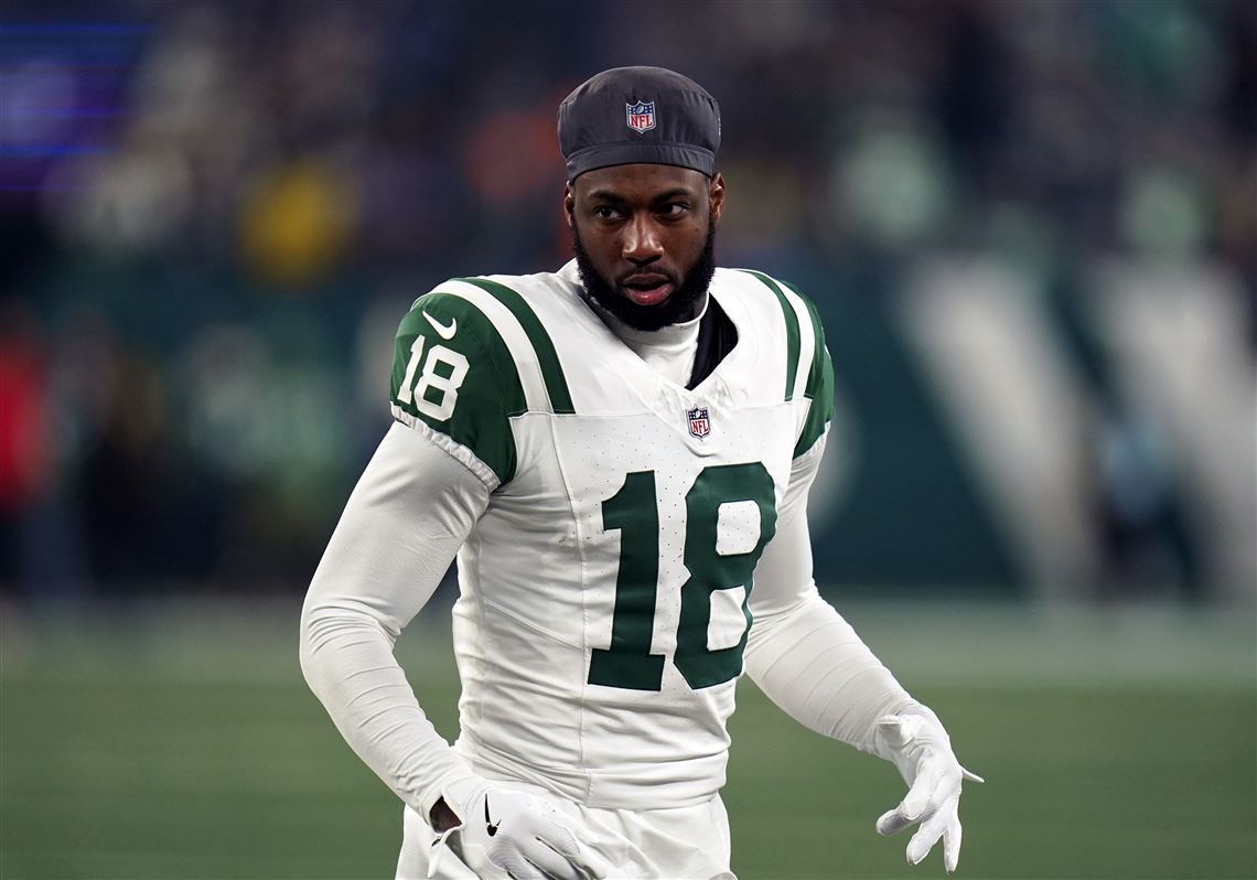 Joe Starkey: Mike Williams an OK consolation prize for a Steelers ...