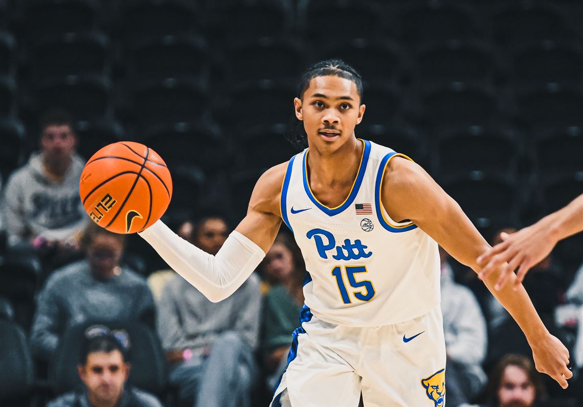 Pitt-Ohio State preview: Panthers face similarly strong defensive ...