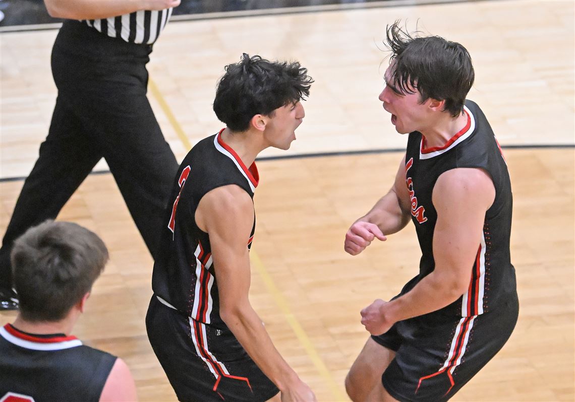 Boys basketball rankings: Avonworth, Montour move into No. 1 spots ...