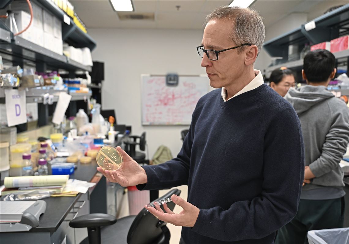 NIH funding confusion catches Pittsburgh researchers off guard: ‘This ...