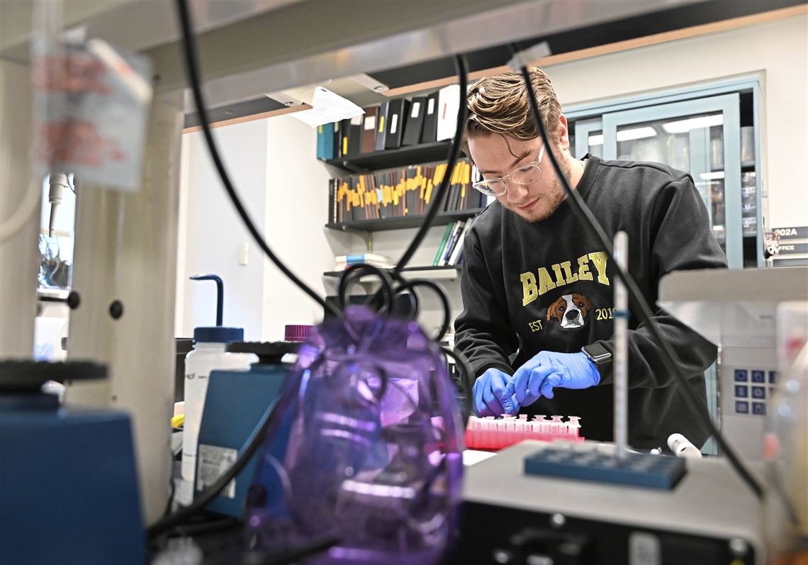 What is the NIH funding process? | Pittsburgh Post-Gazette