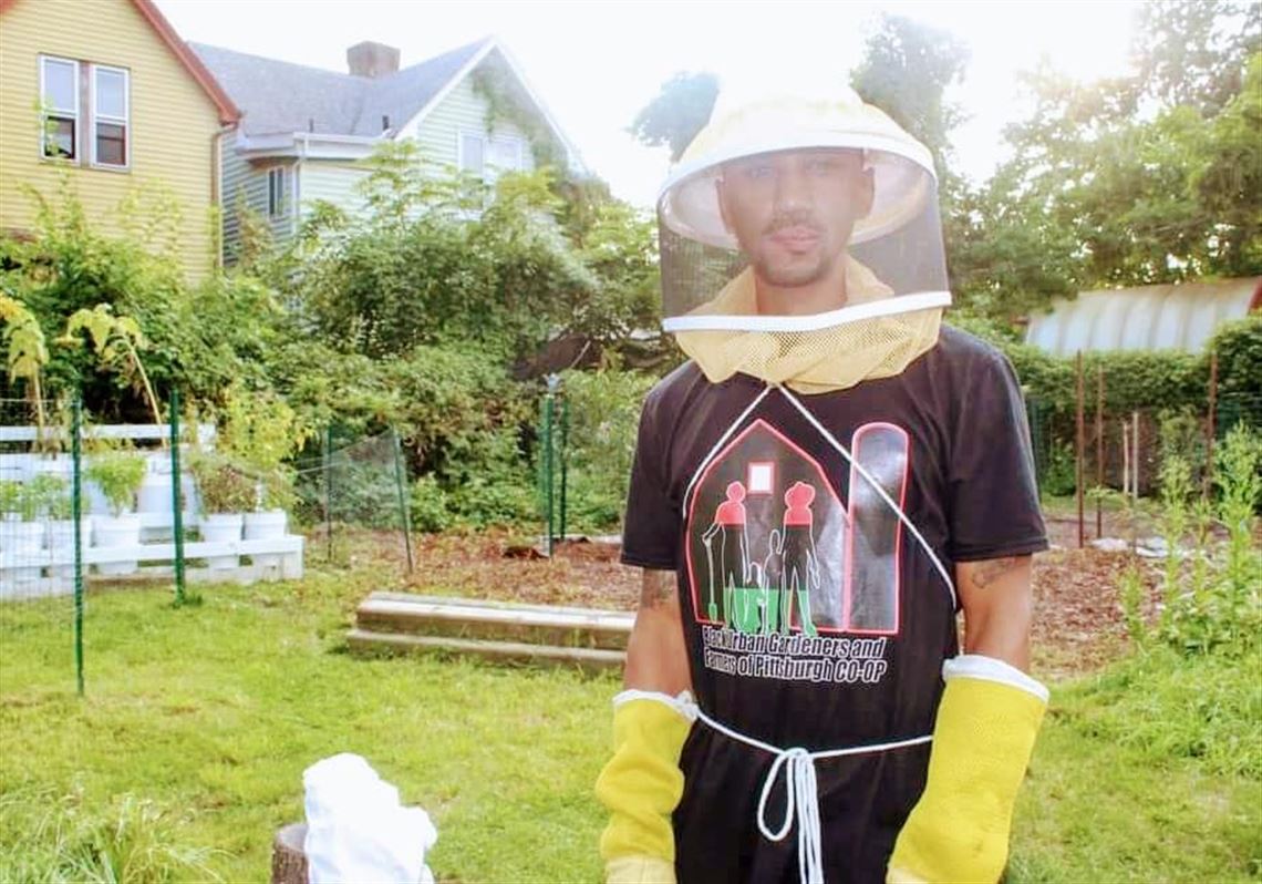 Single-source, local honey is best, say beekeepers | Pittsburgh Post ...