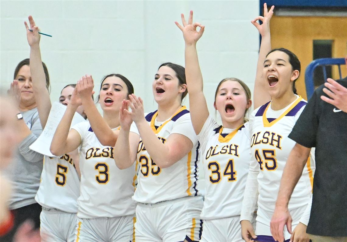 PIAA girls basketball playoffs: OLSH staves off late Central Cambria ...