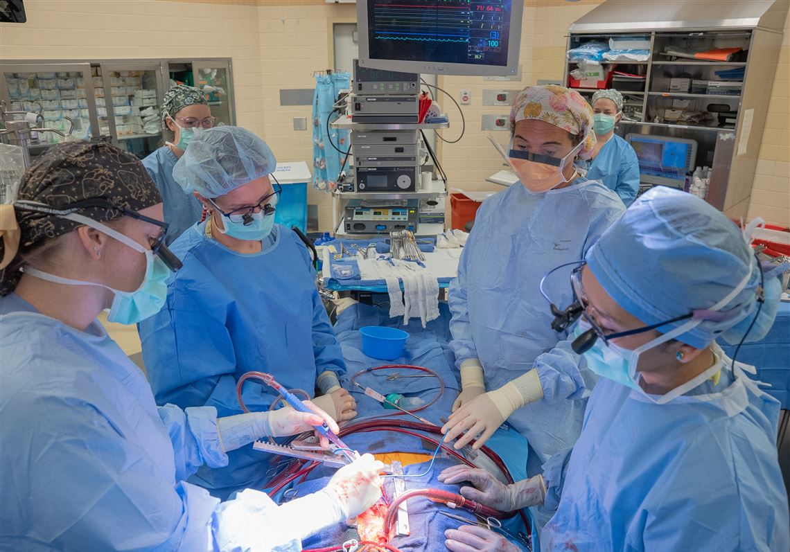 All-female heart surgery at AGH draws attention to a male-dominated ...