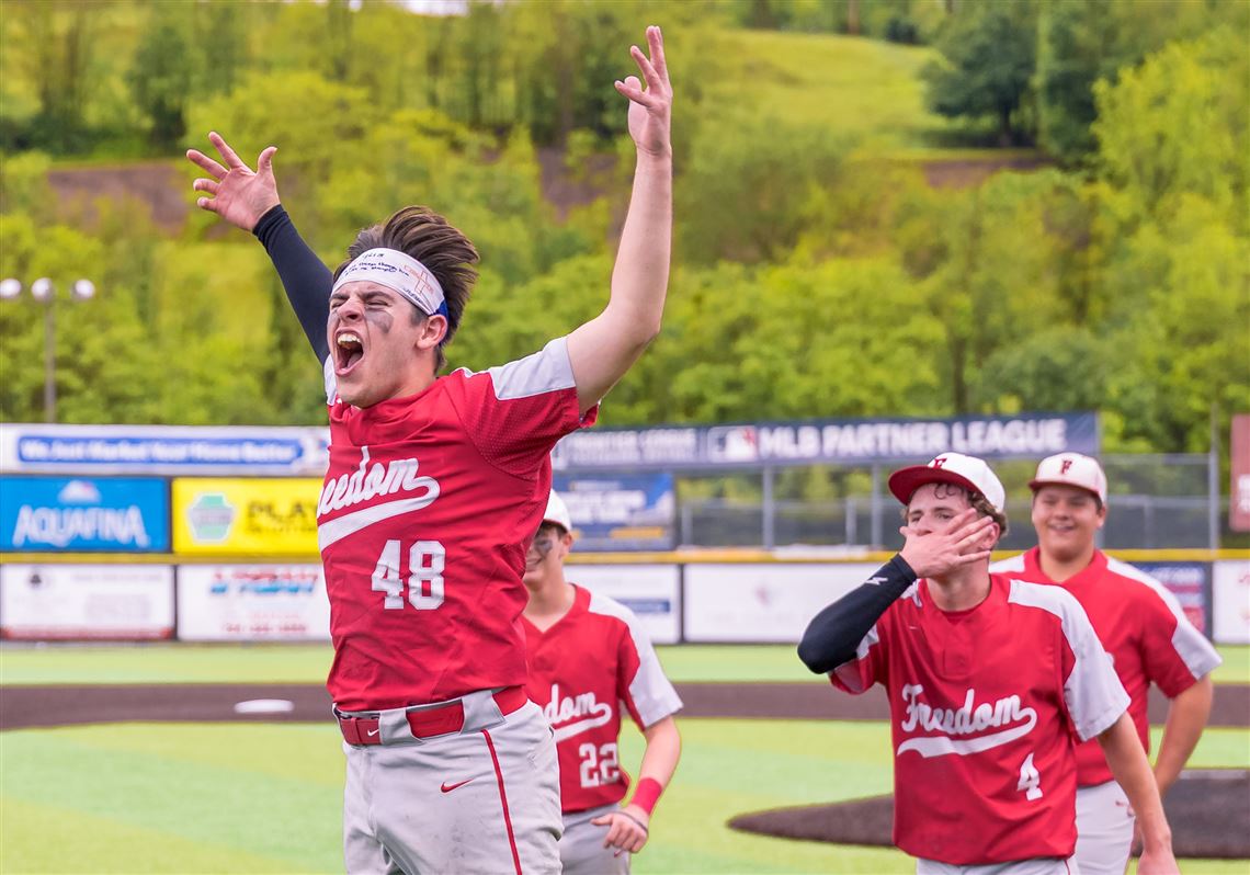 WPIAL Class 2A baseball championship: Freedom's Boden Hilliard pitches ...