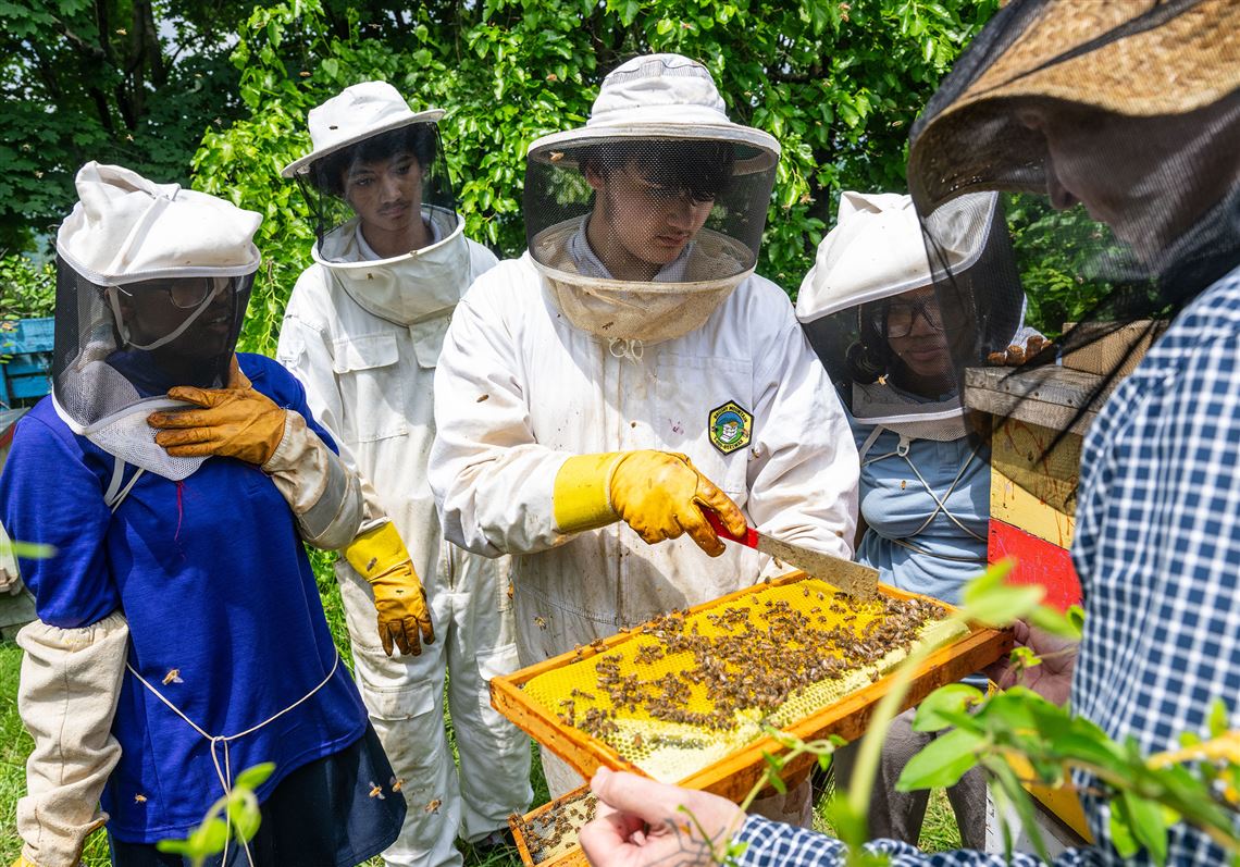 ''You’re a beekeeper': Mon Valley students conquer their fears in this ...